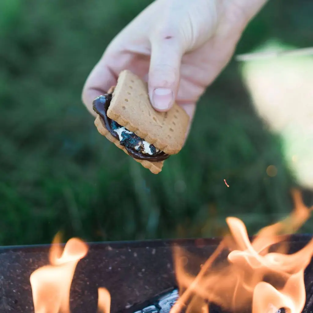 Mini S'mores Kit